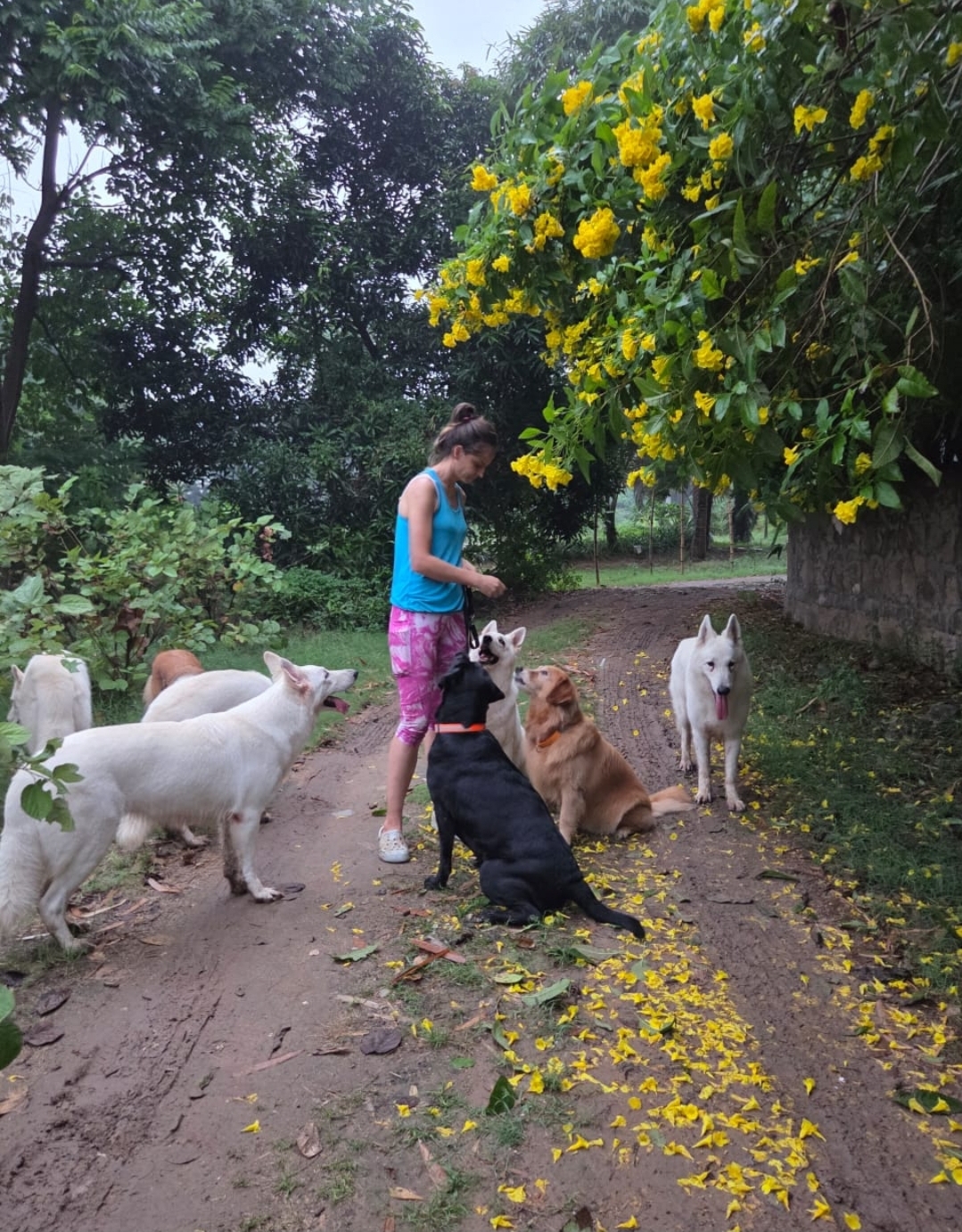 Pet Hostels & Pet Boarding Near You in India | Kukuram
